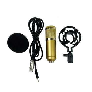 BM800 Condenser Studio Mic Kits: Starter Set, Professional Setup, Music Podcasting with Pop ...