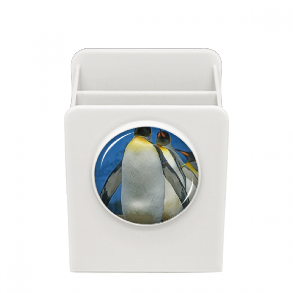 Many Antarctic Penguins Nature Science Picture Desk Pencil Holder Cup ...