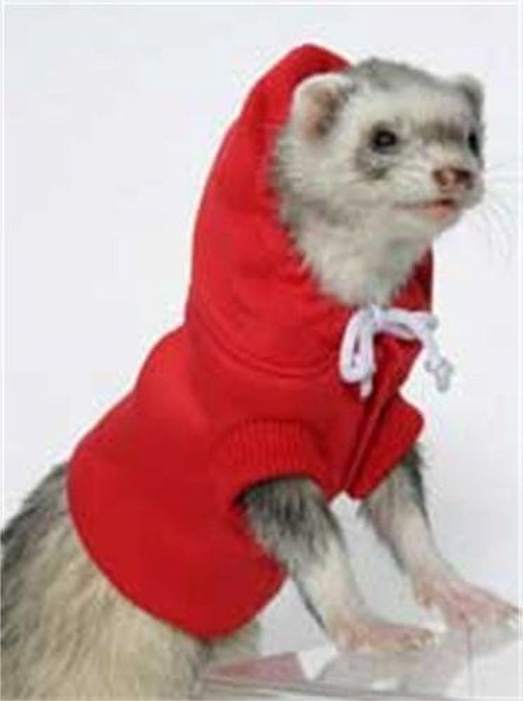 Ferrets Wearing Clothes