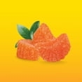 Orange Slices Jelly Candy, Sugar-Dusted, Unwrapped, Bulk Pack 2 Pounds ...