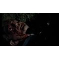 Wild Beasts (DVD) - Walmart.com