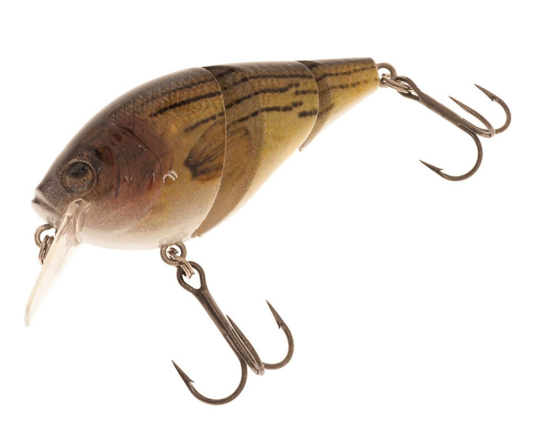 H2O XPRESS Premium Shallow Running Jointed Bass Crankbait - Walmart.com