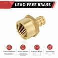 (Pack of 10) EFIELD Pex 3/4" x 1/2" Female NPT Thread Adapter Crimp Brass Fittings, ASTM F1807 ...