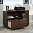 Sauder Palo Alto Engineered Wood Filing Cabinet Credenza in Spiced ...