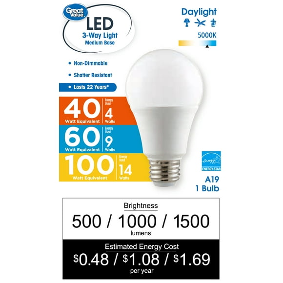 A19 LED Light Bulbs