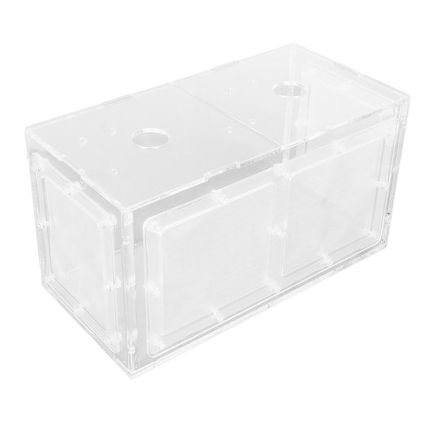 Transparent Fish Tank Breeding Box,Fish Breeding Isolation Box Aquarium ...