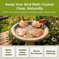 BVEBJDX Copper Maple Leaf Bird Bath Deicer Copper Birdbath For Winter ...