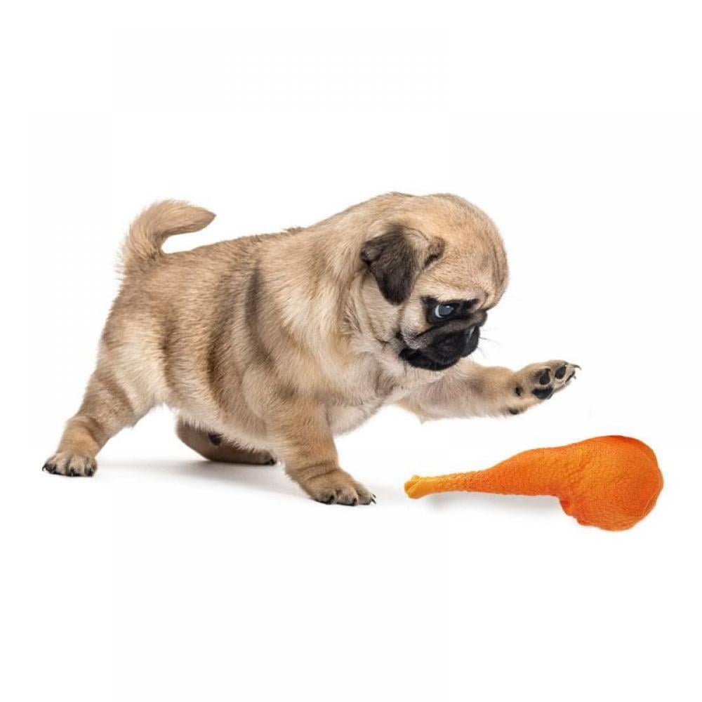 Are Pugs Chewers