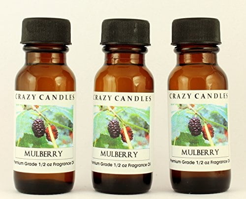 Mulberry 3 Bottles 1/2 FL Oz Each 15ml Premium Grade Scented Fragrance ...
