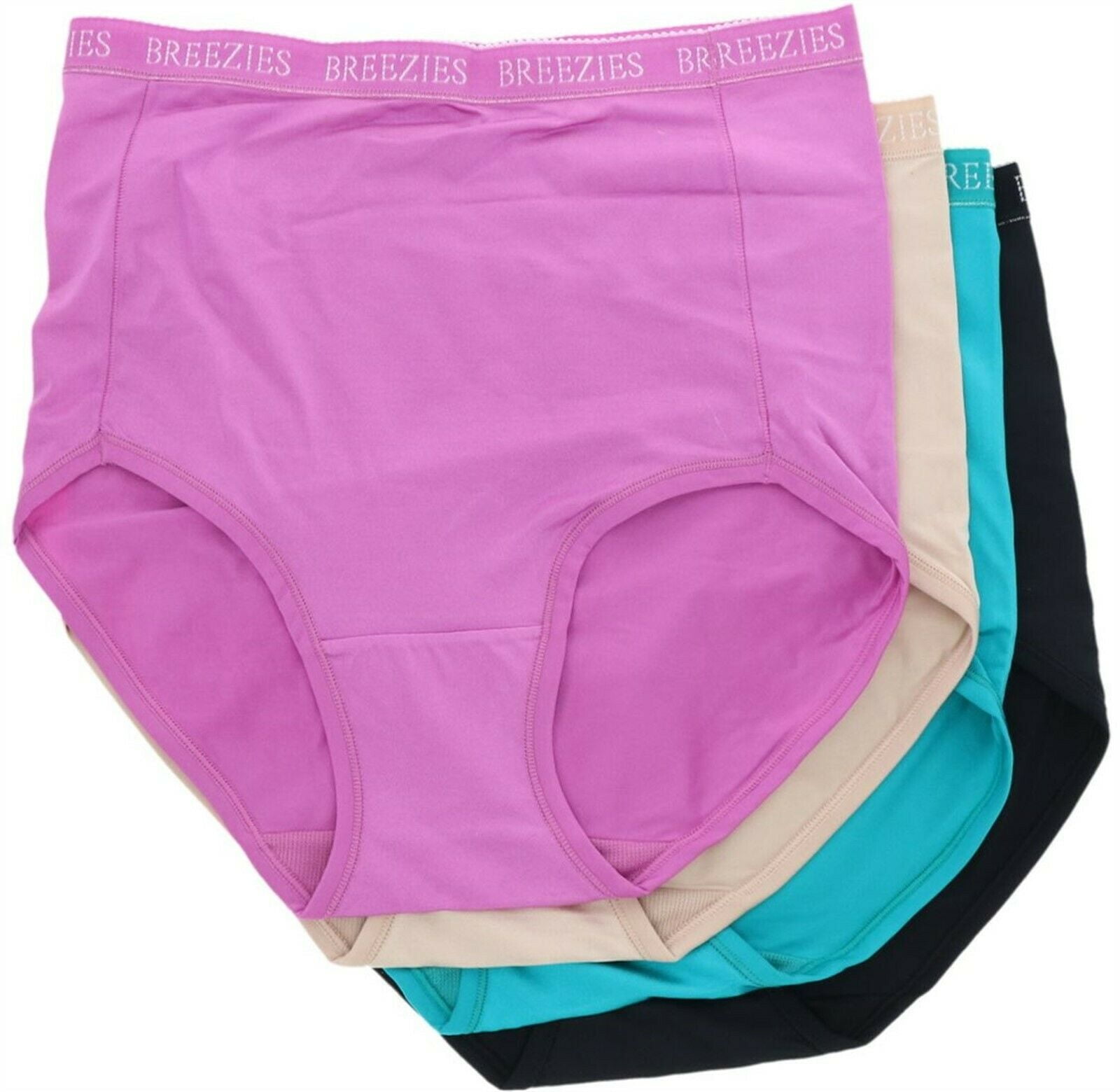 Breezies Breezies Set 4 Nylon Microfiber Brief Panty A287799
