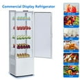 Aoile 8.4 Cu.Ft Commercial Display Refrigerator, Single Door Fridge ...