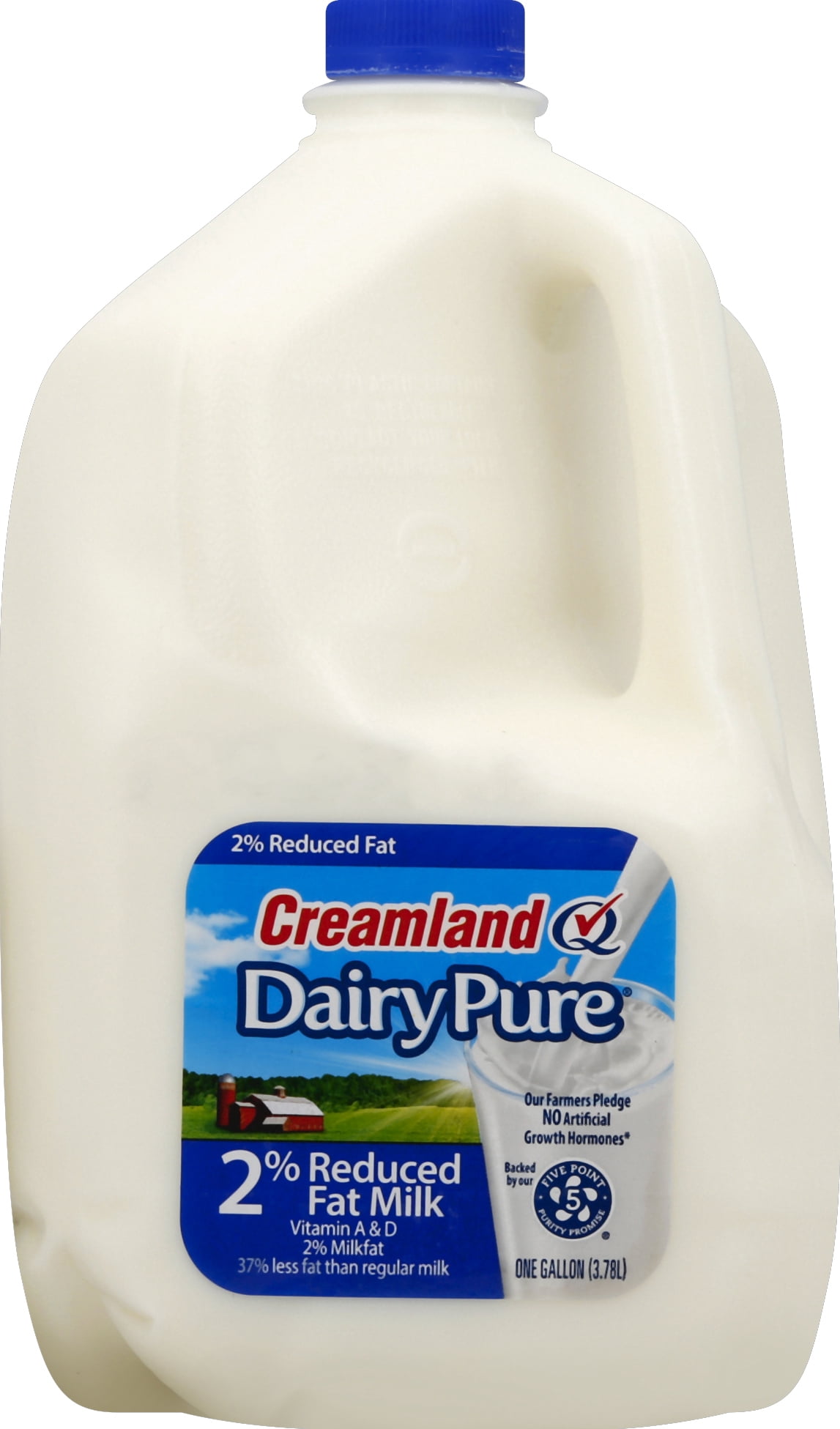 Dairy Pure Reduced Fat 2 Milk 1 Gallon Walmart Walmart