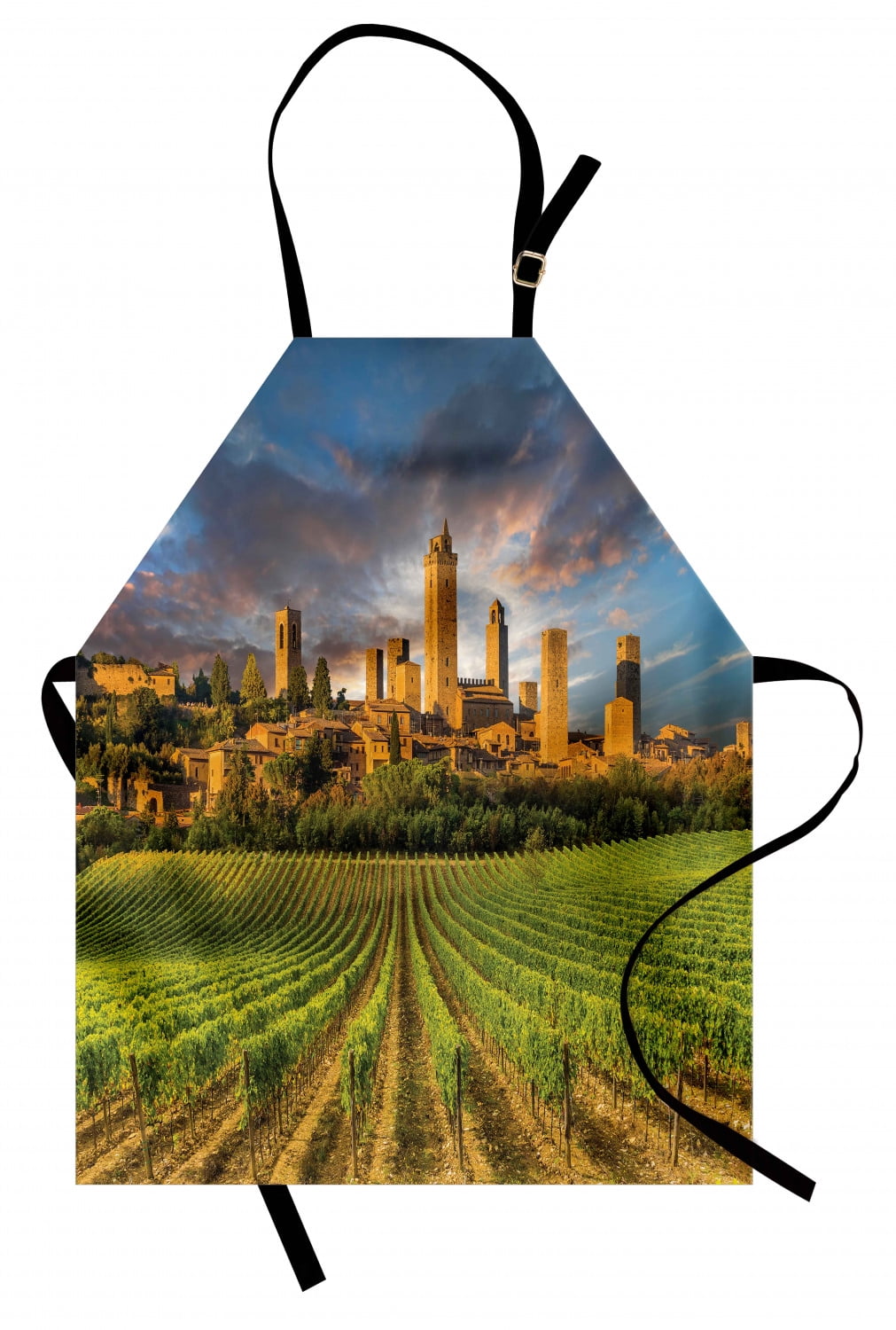 Italy Apron Vineyards of San Gimignano Tuscany Historic Architecture ...