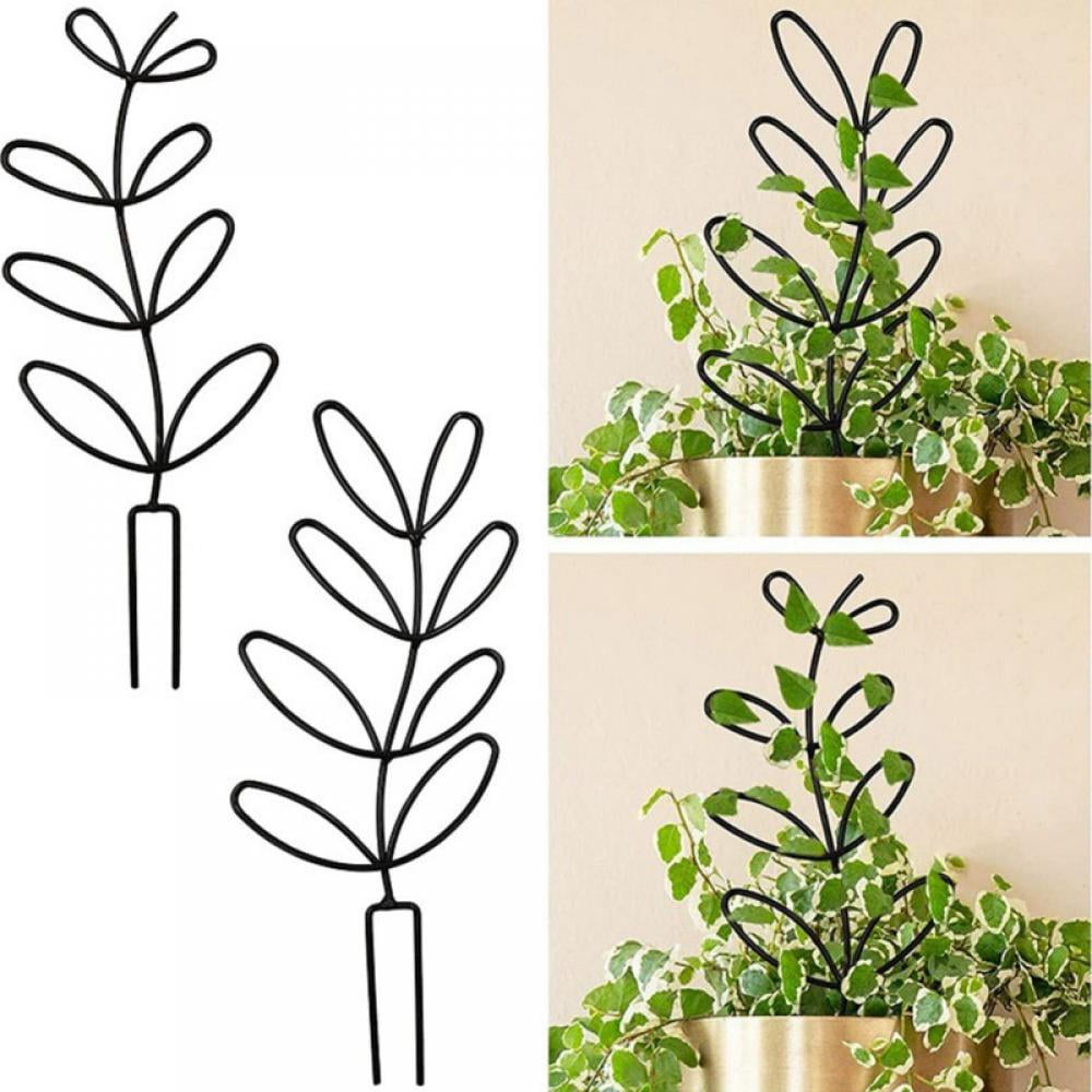 2Pcs Plant Climbing Frame Climbing Vine Wrought Iron Flower Stand ...
