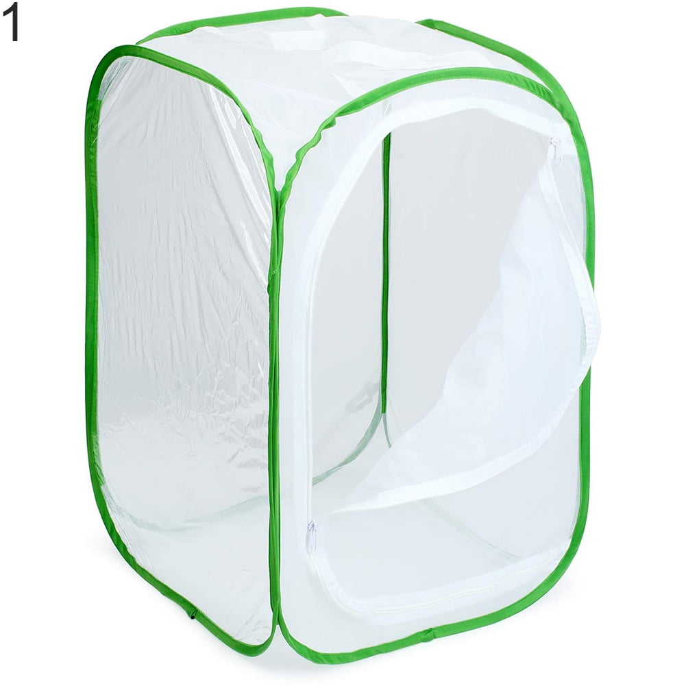 Insect and Butterfly Habitat Cage Terrarium Pop-up Collapsible Insect ...