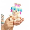 Little Live OMG Pets Have Talent - Interactive Puppy - Rainbow Pop ...