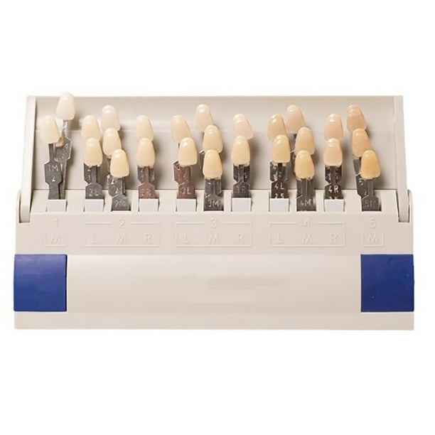 Guía de Sombra de Dientes, 29 Colores Guía de Tono Blanqueador de ...