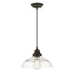 Westinghouse Lighting 6129800 Tarrant One Light Indoor Mini Pendant ...