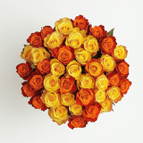 Globalrose Yellow and Orange Roses, Fresh Cut Flowers Bouquet, 50 Stems ...