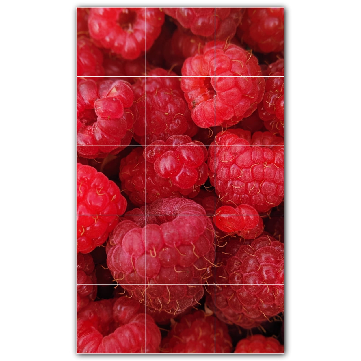 Picture-Tiles.com: Fruit Ceramic Tile Wall Mural WAL500718-35XL. 36"W x ...