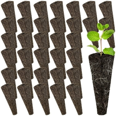 PACETAP 50 Pack TWE5 Grow Sponges, Seed Pods Replacement Root Growth ...