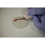 Bondo Body Filler, 1 Gallon - Walmart.com