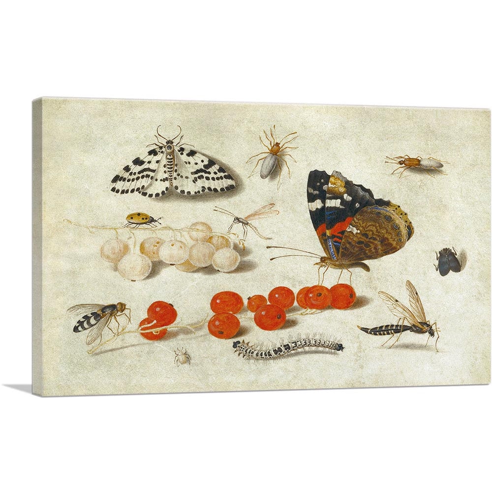 ARTCANVAS Butterfly Caterpillar Moth Insects And Currants Canvas Art ...