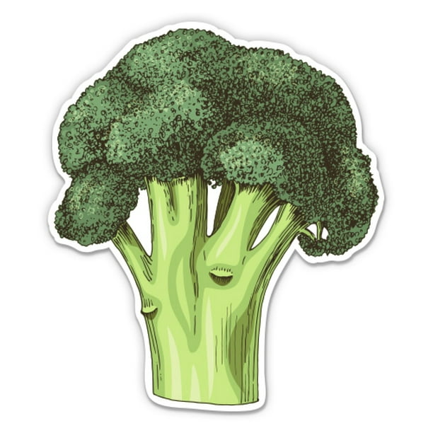 Broccoli - 12" Vinyl Sticker Waterproof Decal - Walmart.com