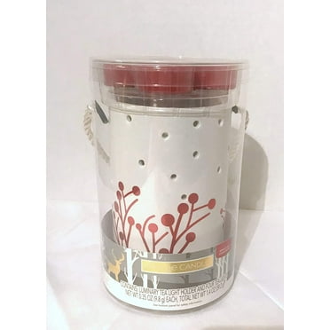 Modgy Lumizu Collapsible 4pc Luminary Lantern Set - Tiffany Poppies ...