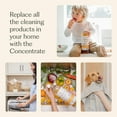 Branch Basics Refill Cleaner - Walmart Business Supplies