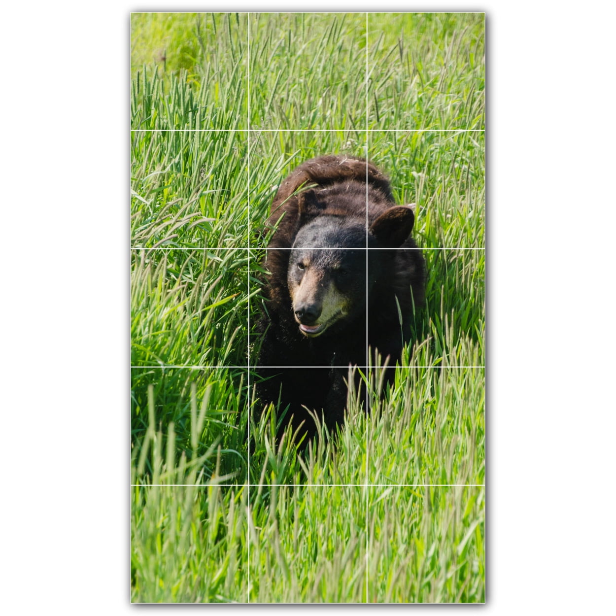 Picture-Tiles.com: Bear Ceramic Tile Wall Mural WAL500114-35L. 24"W x ...
