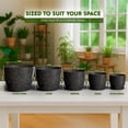 - Spotty Plant Pots Indoor with Drainage - 7/6.6/6/5.3/4.8 Inches ...