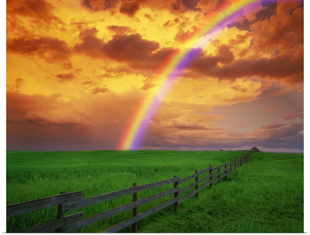 Great BIG Canvas | "Rainbow In Country Field With Gold Clouds" Art ...