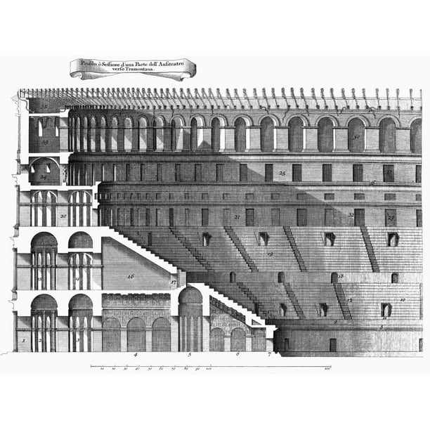 Colosseum: Cross-Section. /Ncross-Section Of The Seating Area Of The ...