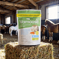 BugMD Vamoose No See No Touch Rodent Repellent - Walmart.com