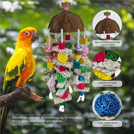 Parrot Chewing Toy Coconut Shell Corn Sepak Takraw Toy Foraging ...