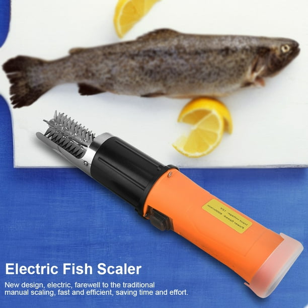 Fishing Scalers, Electric Saving Effort Saving Time New Design ...