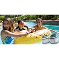 Inflatable Spa Filter Cartridge Compatible MSPA FD2089 Filter ...