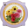 Wildflower Seed Balls (20-Count) – Pollinator-Friendly Flower Mix for ...