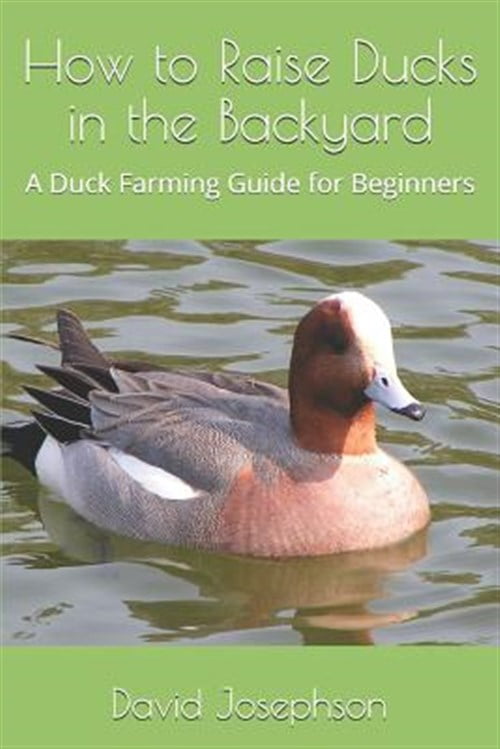 Pre-Owned How to Raise Ducks in the Backyard: A Duck Farming Guide for ...