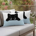 Black Cat Outdoor Pillow Covers Set of 2 Cute Cat Cartoon Animal with ...