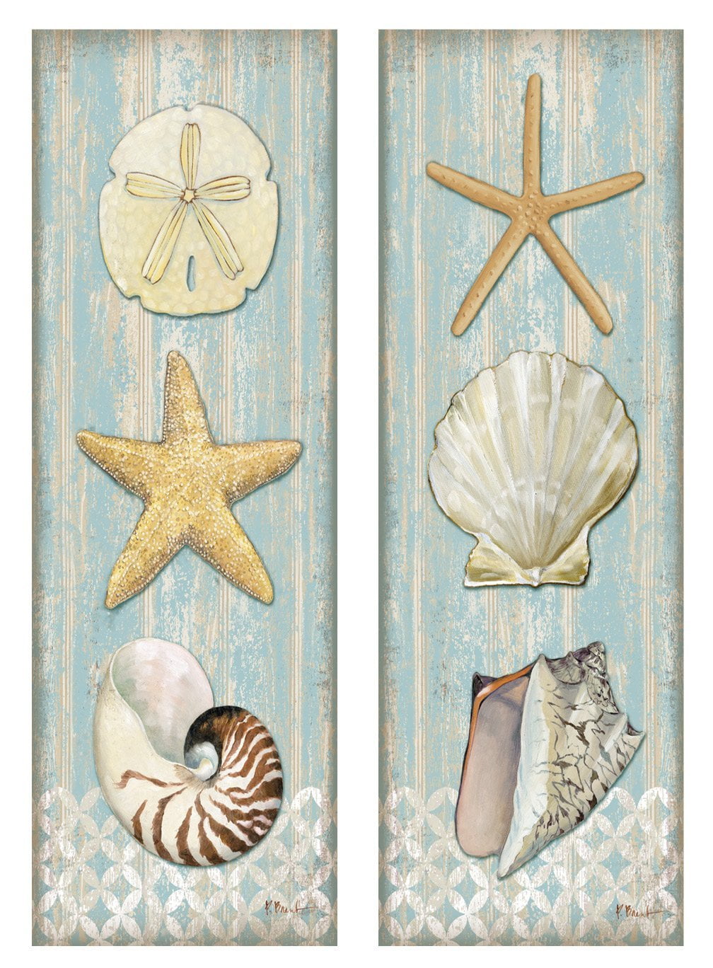 Beautiful Spa Shells; Two 8x20" Unframed Paper Posters (Not Wood ...