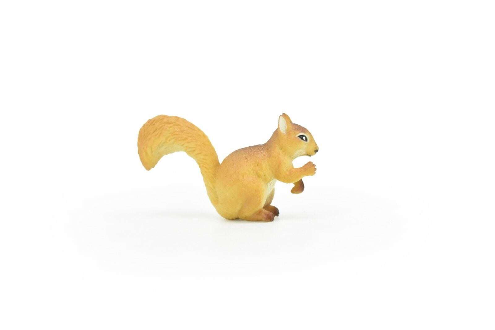 Realistic Squirrel Toy, Museum Quality Plastic Replica, Hand Painted 2 ...