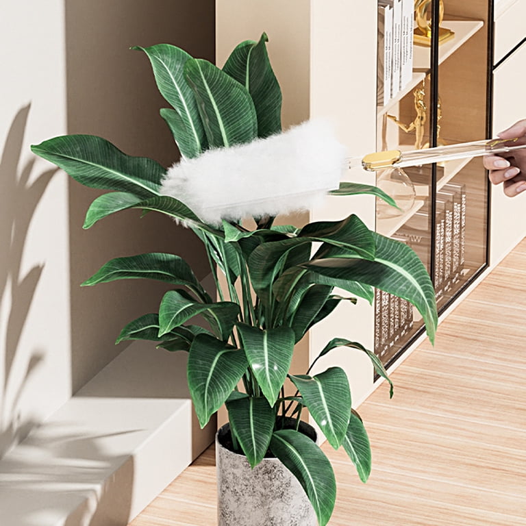 Hand Held Duster Plant