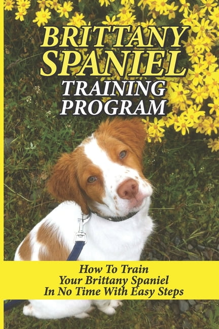Are Brittany Spaniels Easy To Train