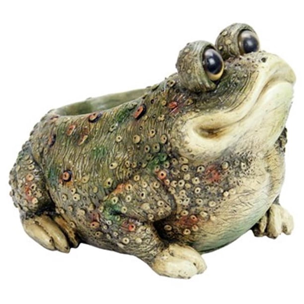 Michael Carr Designs MCD80083 Kenzie Toad Planter - Walmart.ca