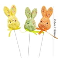 Win s Way Easter Decorative Card Slot Stakes (3-Pack) - Colorful ...