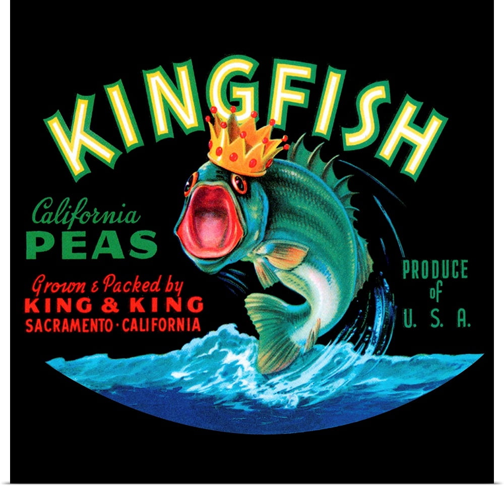 Great BIG Canvas | Rolled Vision Studio Poster Print entitled Kingfish ...