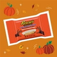 Reese's Assorted Flavored Snack Size Peanut Butter Cups Halloween Candy, Bulk Bag 35.75 oz, 65 ...