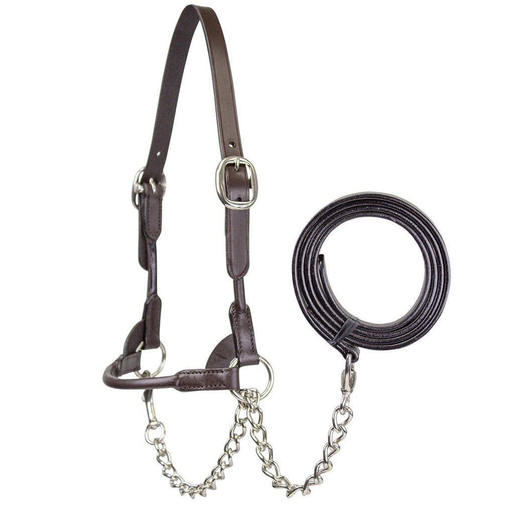 Derby Originals New and Improved Premium Round Rolled Leather Cattle ...